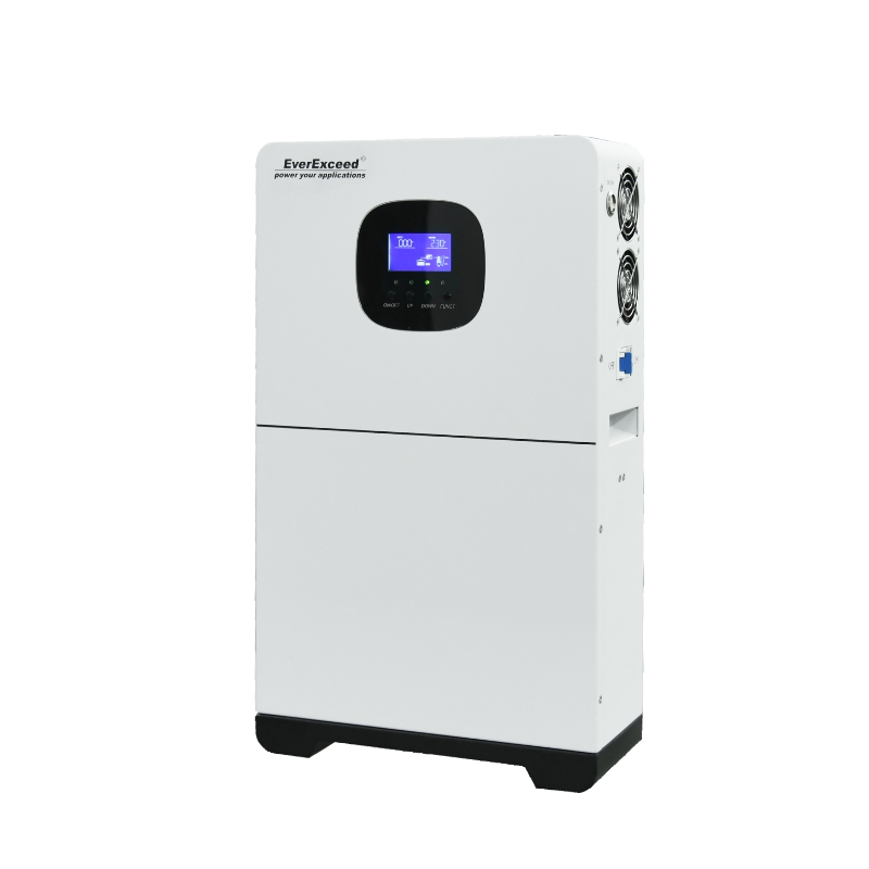 Customized Wall-mounted home backup power storage system,Wall-mounted ...